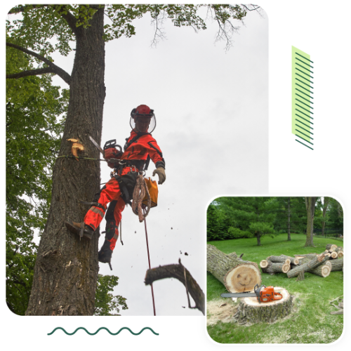 Chavez Landscaping LLC - Tree Services